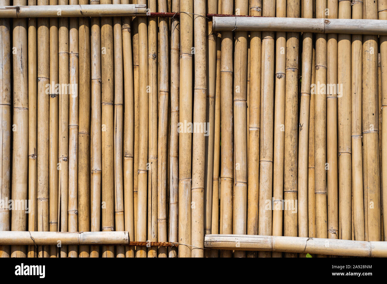 Dry bamboo fence texture or background. Eco natural background concept ...