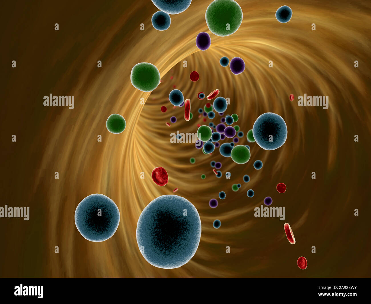 inside the blood vessel, insulin and leukocytes inside the blood vessel ...
