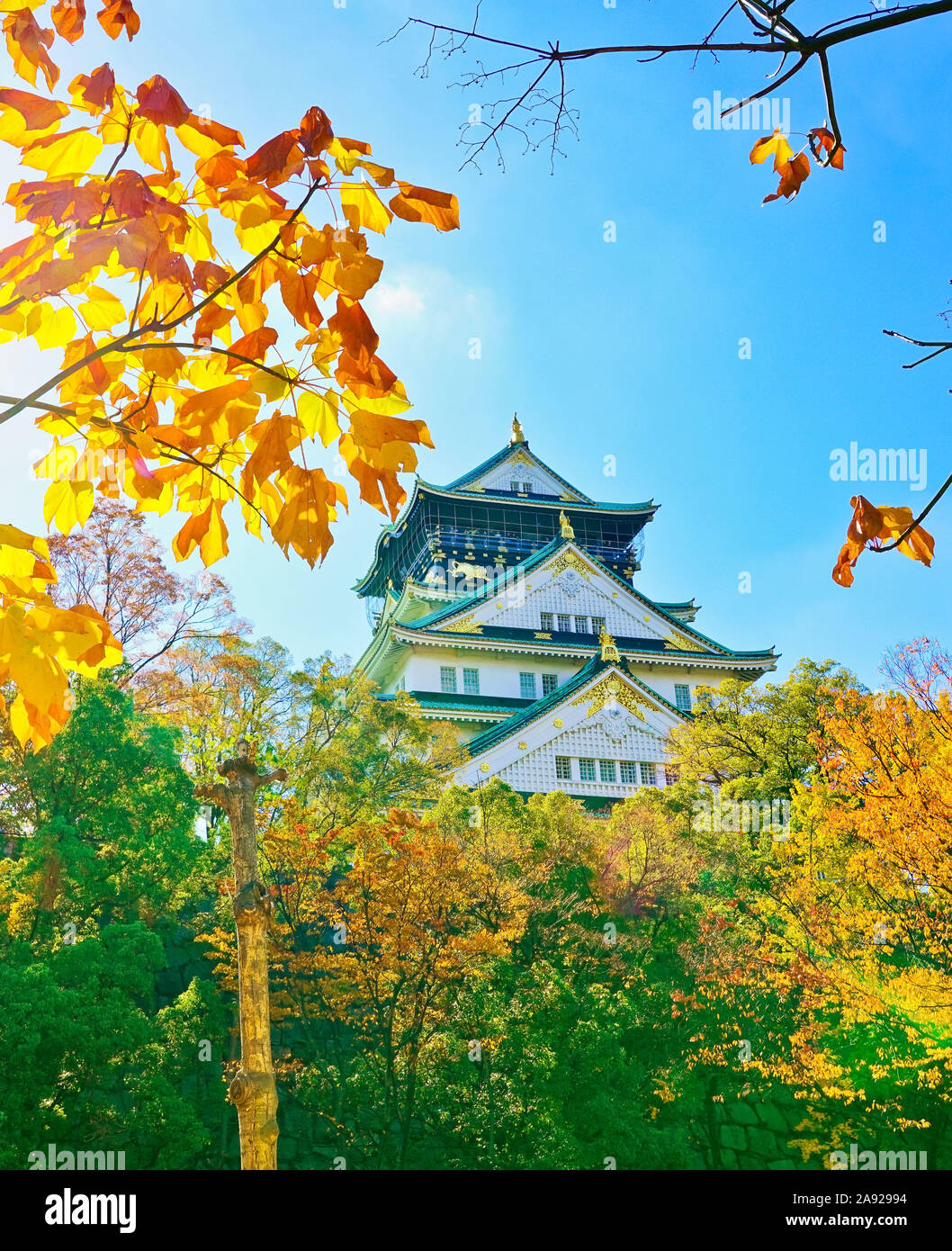 View of the Osaka Castle in autumn in Osaka, Japan Stock Photo - Alamy