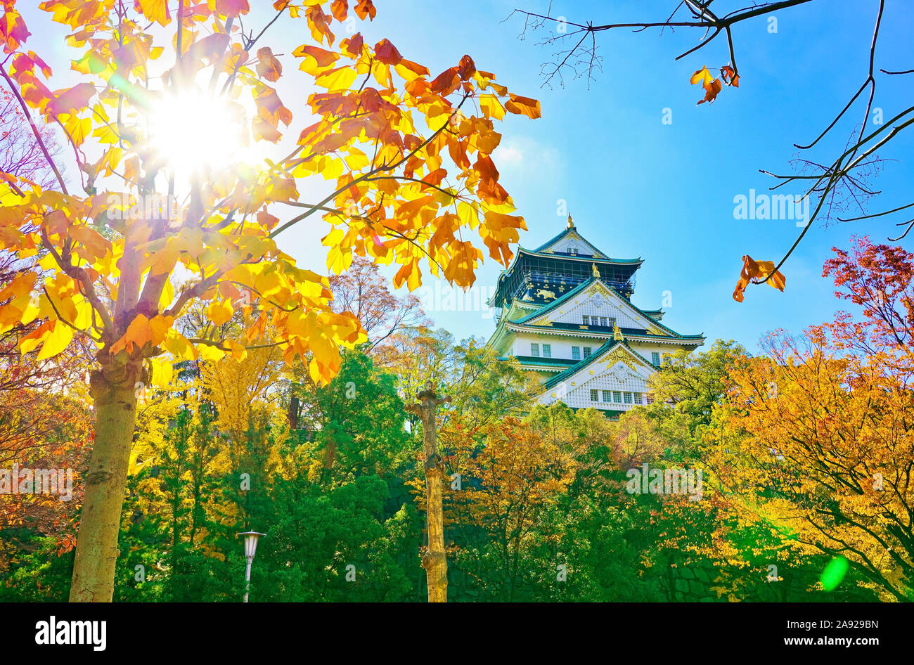 View of the Osaka Castle in autumn in Osaka, Japan Stock Photo - Alamy
