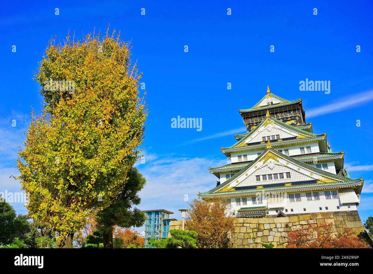 View of the Osaka Castle in autumn in Osaka, Japan Stock Photo - Alamy