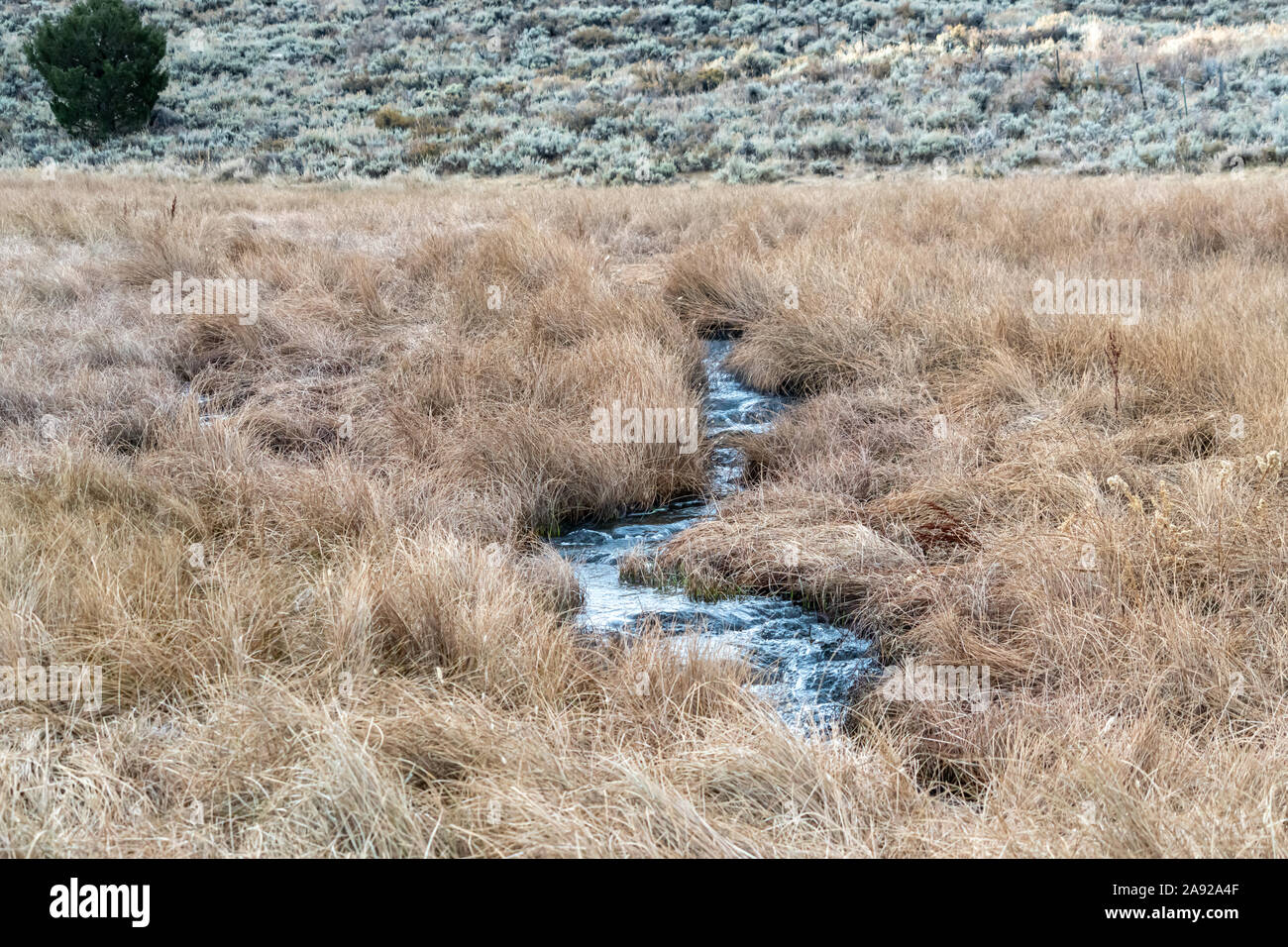 Greg chapel hi-res stock photography and images - Alamy