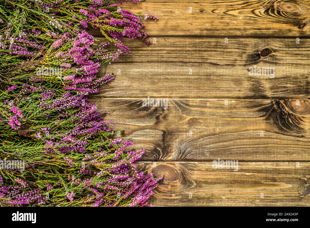 Heather flowers, autumn background, floral frame Stock Photo - Alamy