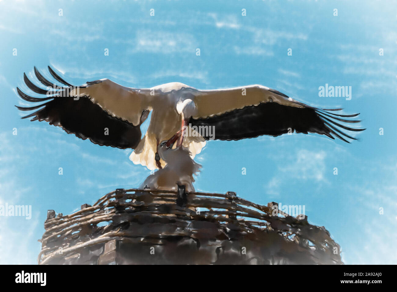 watercolor illustration: Two White storks, scientific name Ciconia ...