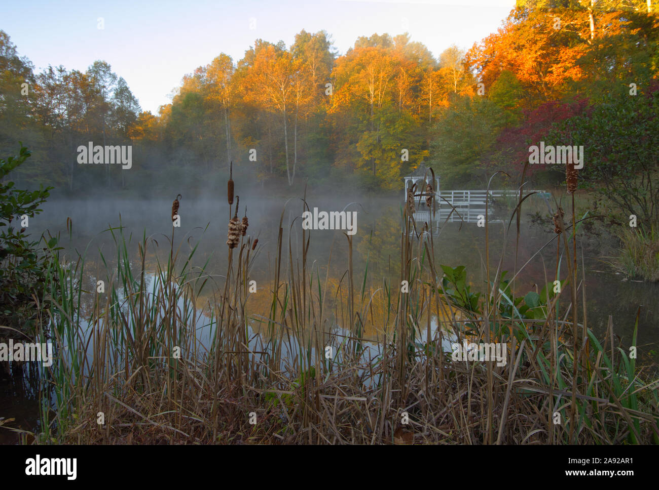 Charlottesville virginia autumn hi-res stock photography and images - Alamy