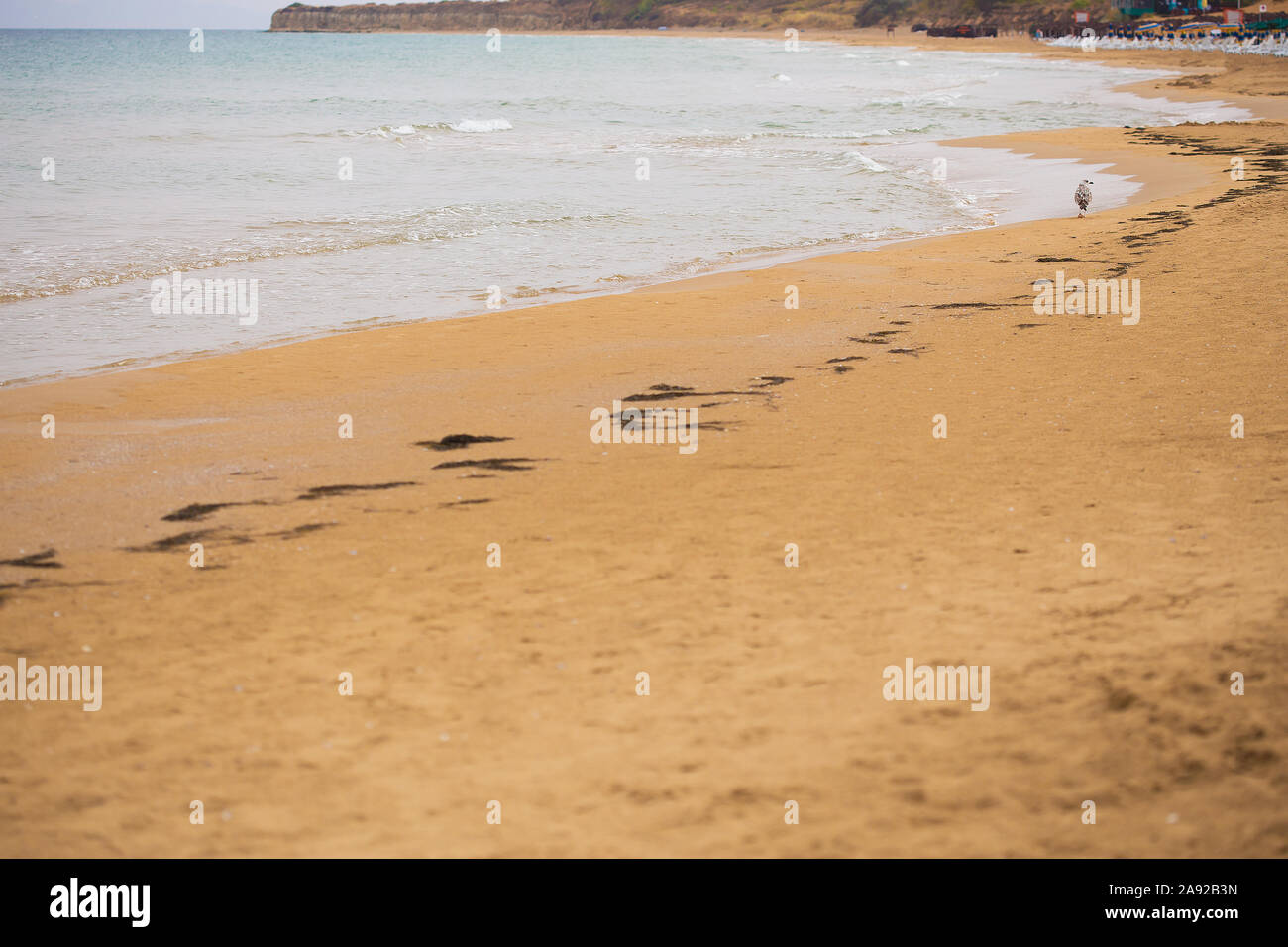 Beautiful sea and sandy beaches of Bulgaria, Nessebar Stock Photo - Alamy