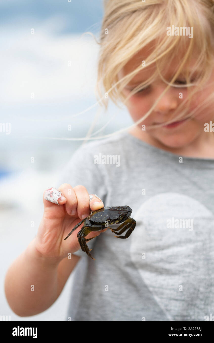 Girl holding crab hi-res stock photography and images - Alamy