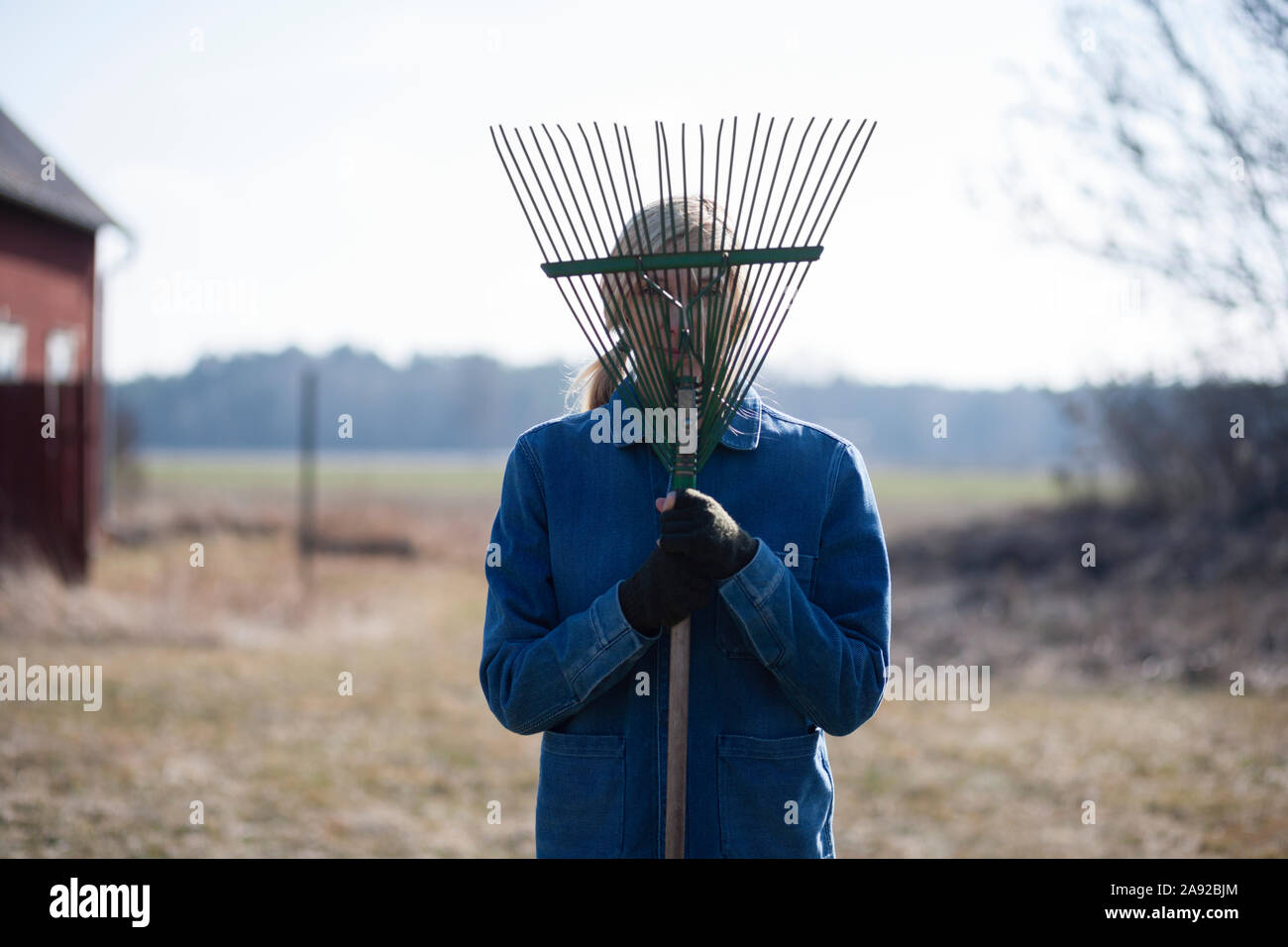 Blue rake hi-res stock photography and images - Alamy