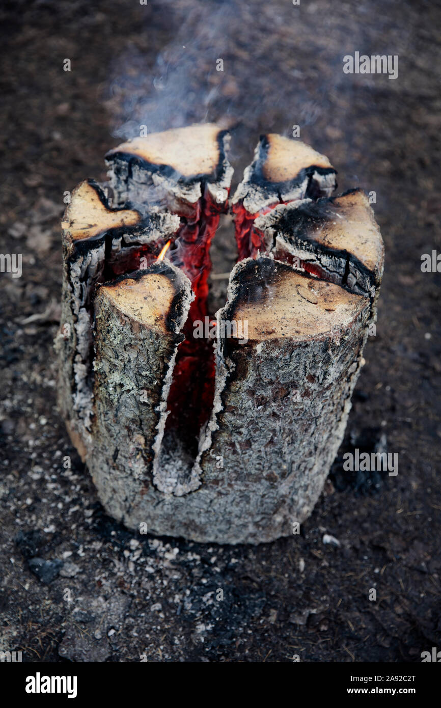Burning tree stump hi-res stock photography and images - Alamy