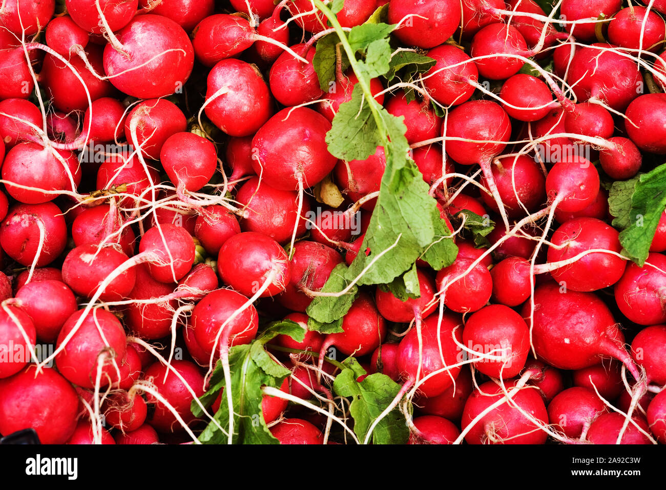 Radieschen hi-res stock photography and images - Alamy