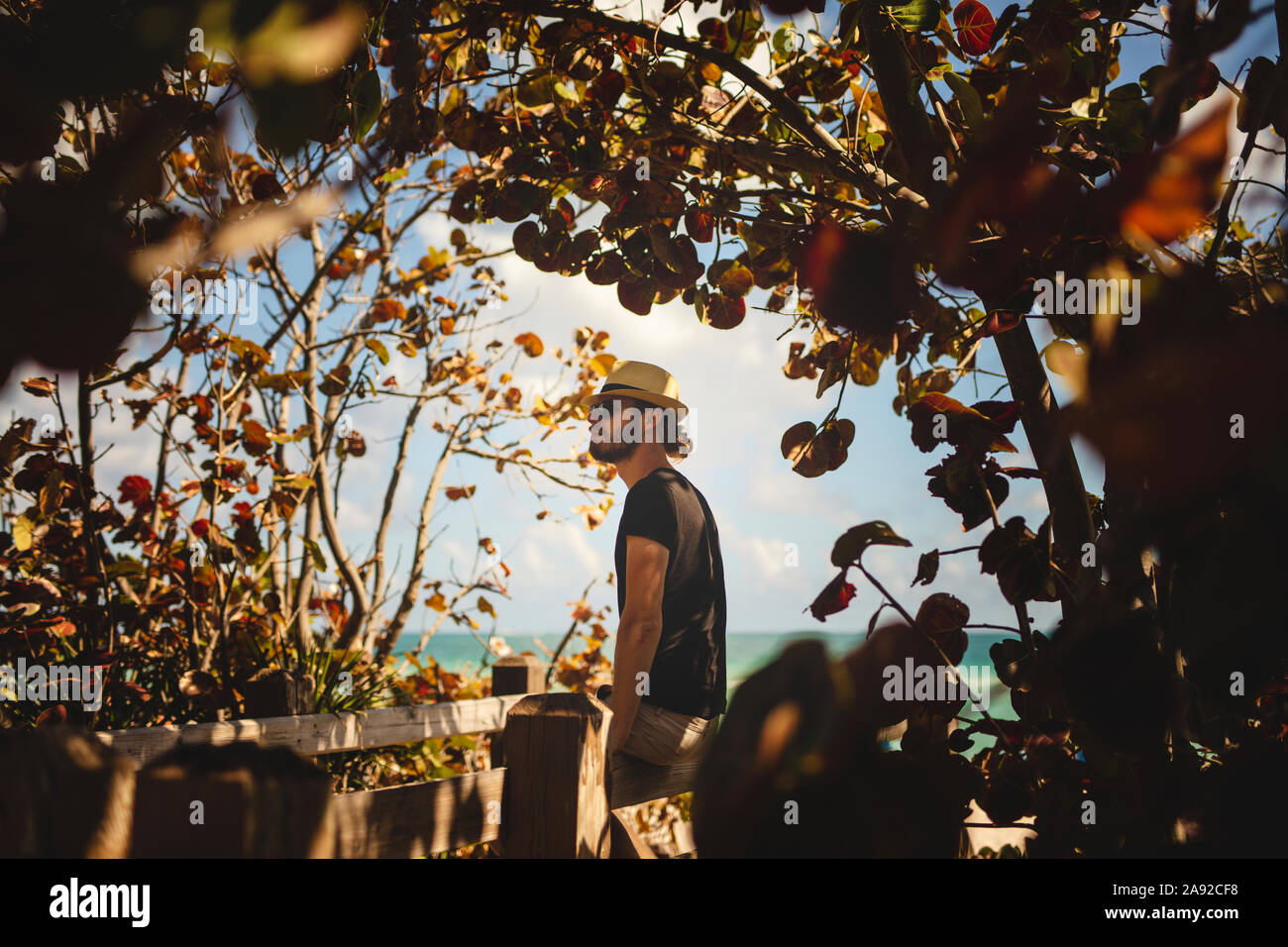 Man on beach Stock Photo - Alamy