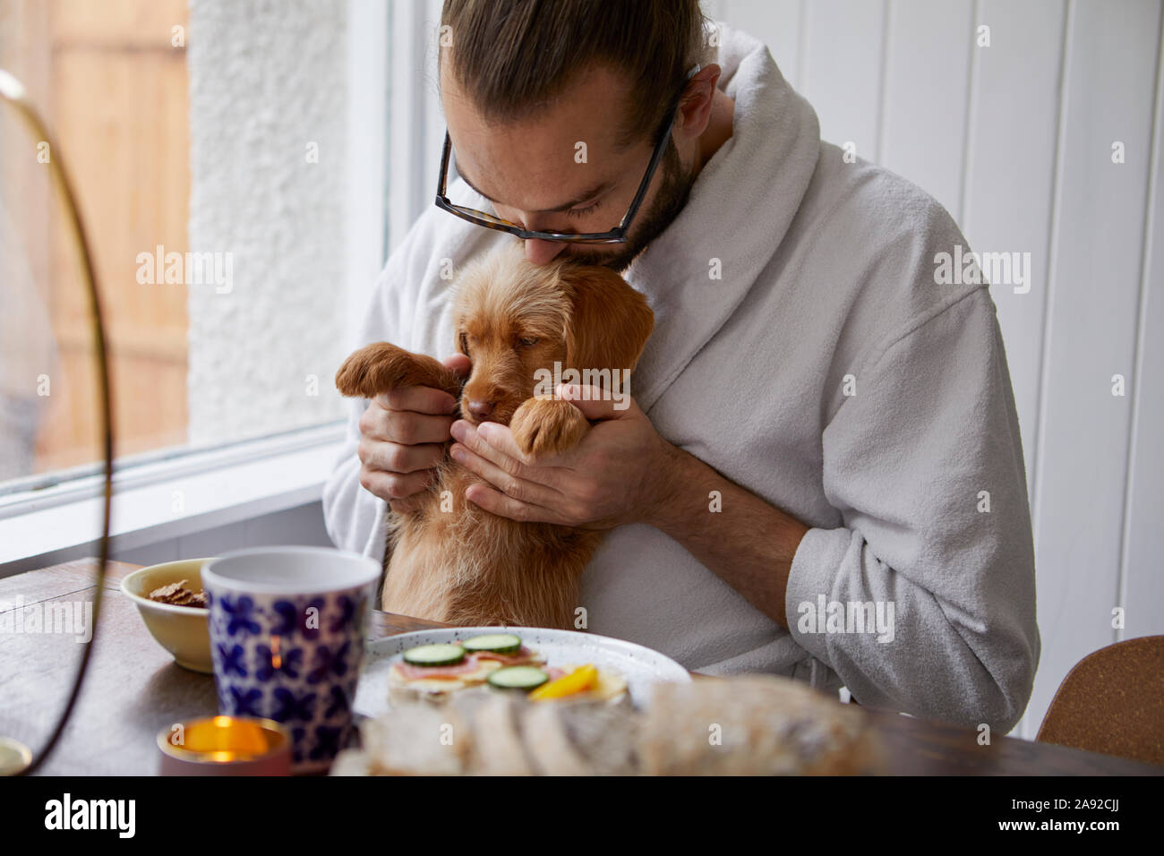 Man holding puppy Stock Photo - Alamy