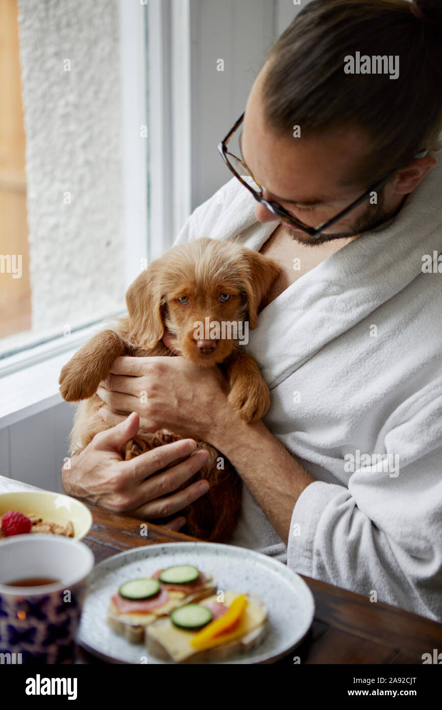 Man holding puppy Stock Photo - Alamy