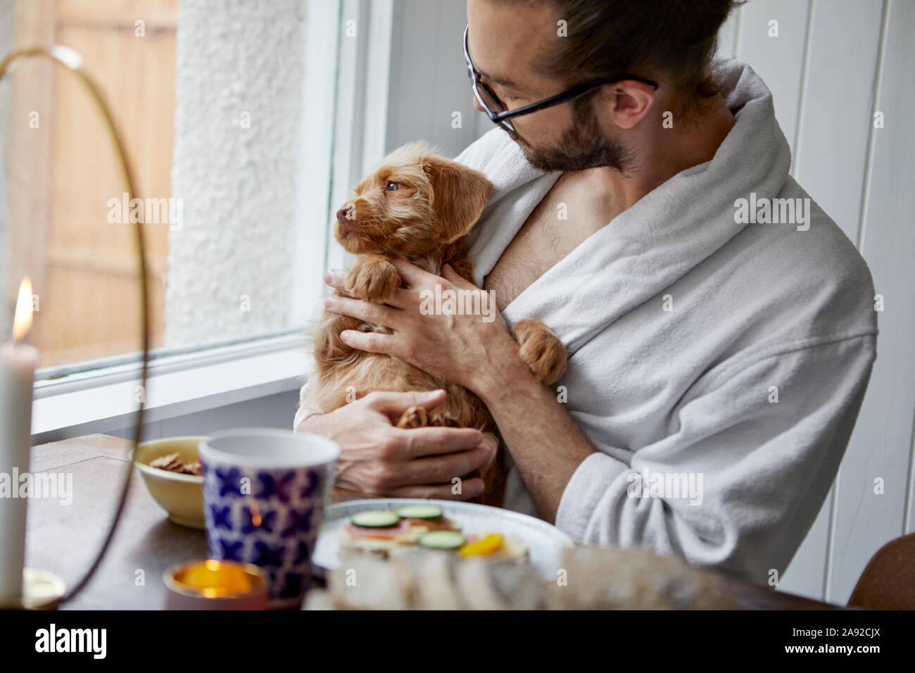 Man holding puppy Stock Photo - Alamy