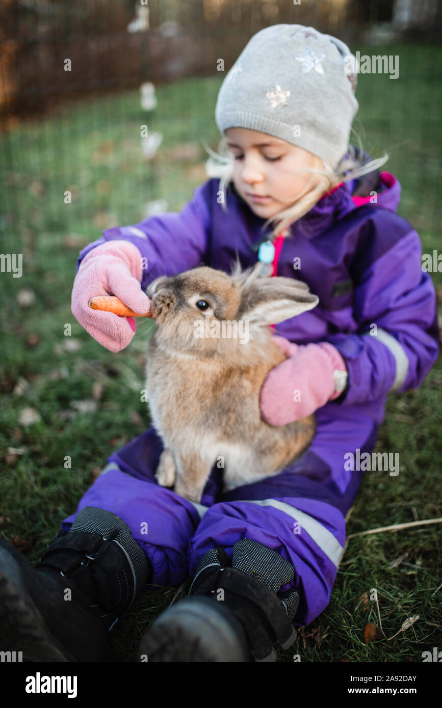 Girl feeding rabbit Stock Photo - Alamy