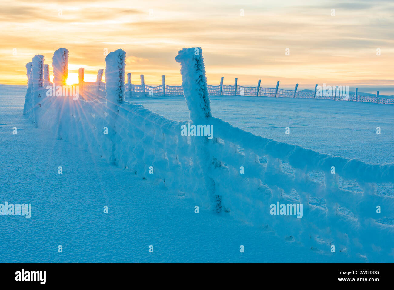 Scandinavian fence hi-res stock photography and images - Alamy