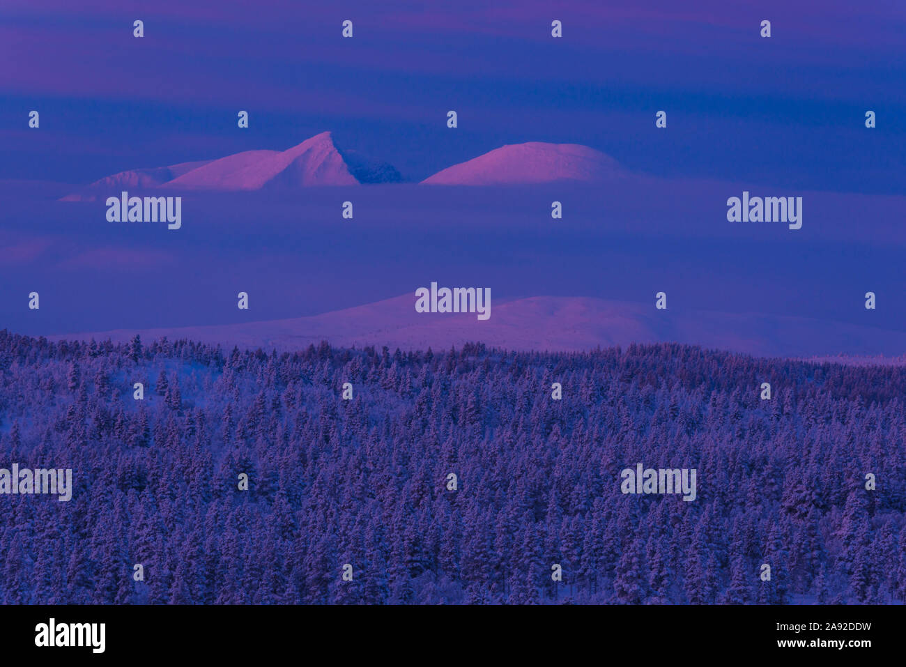 Winter landscape at dusk Stock Photo - Alamy