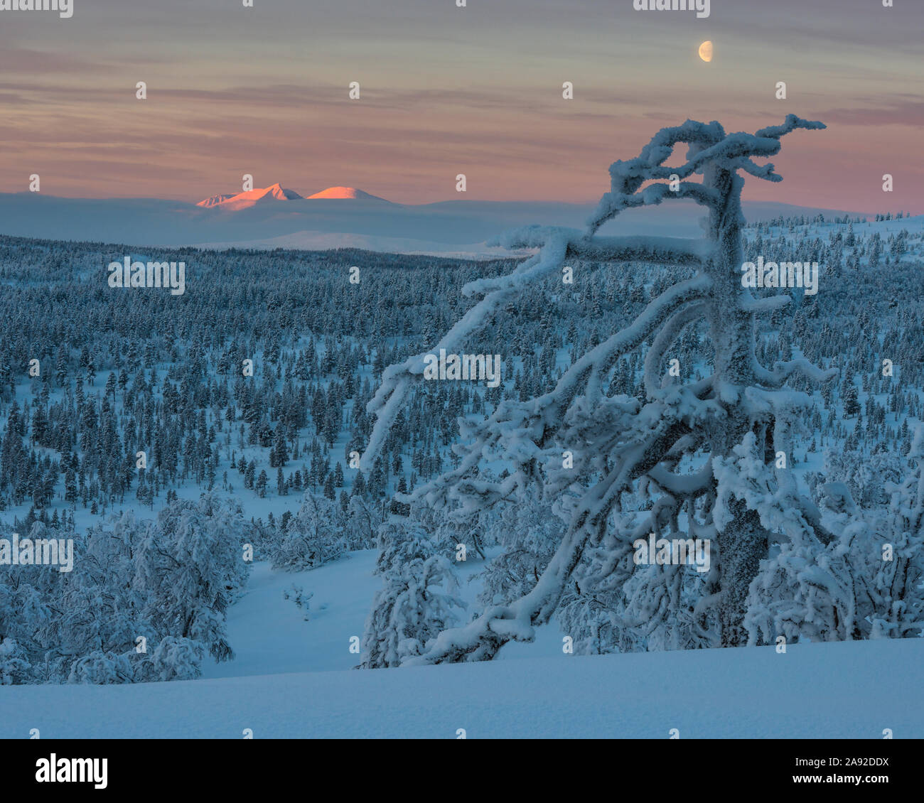 Moon light landscape hi-res stock photography and images - Alamy