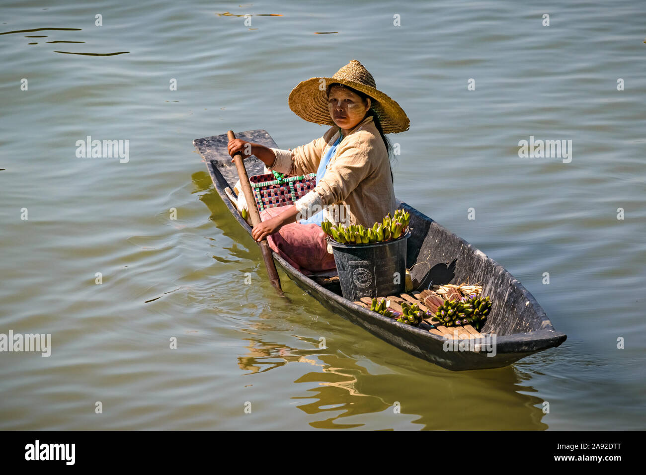 Lotus flowers seller, Inle Lake, Myanmar Stock Photo - Alamy