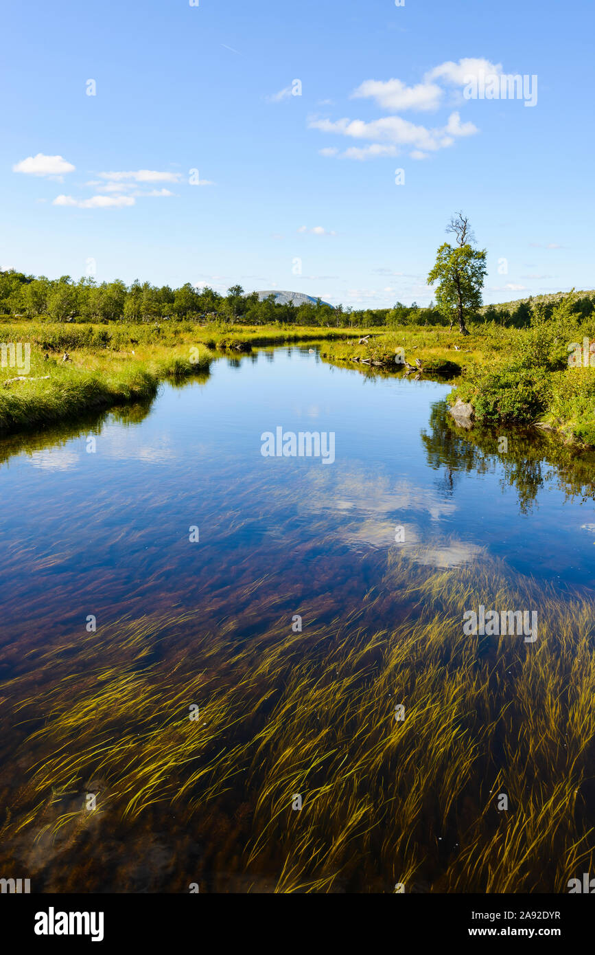 Landscape with lake Stock Photo - Alamy