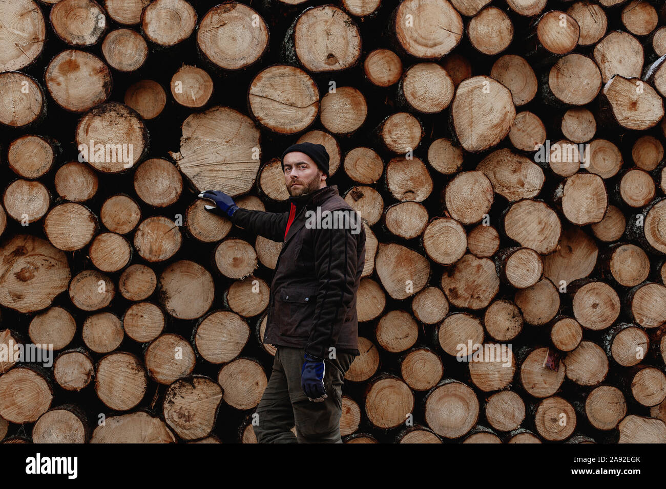 Man standing in front of stack of logs Stock Photo - Alamy