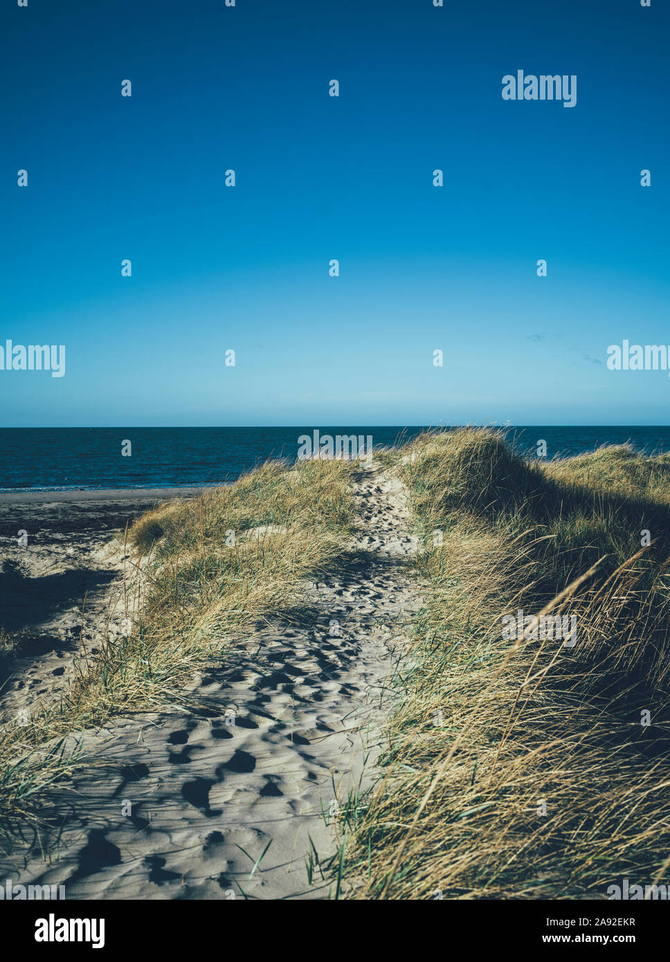 Horizon over water sand hi-res stock photography and images - Alamy