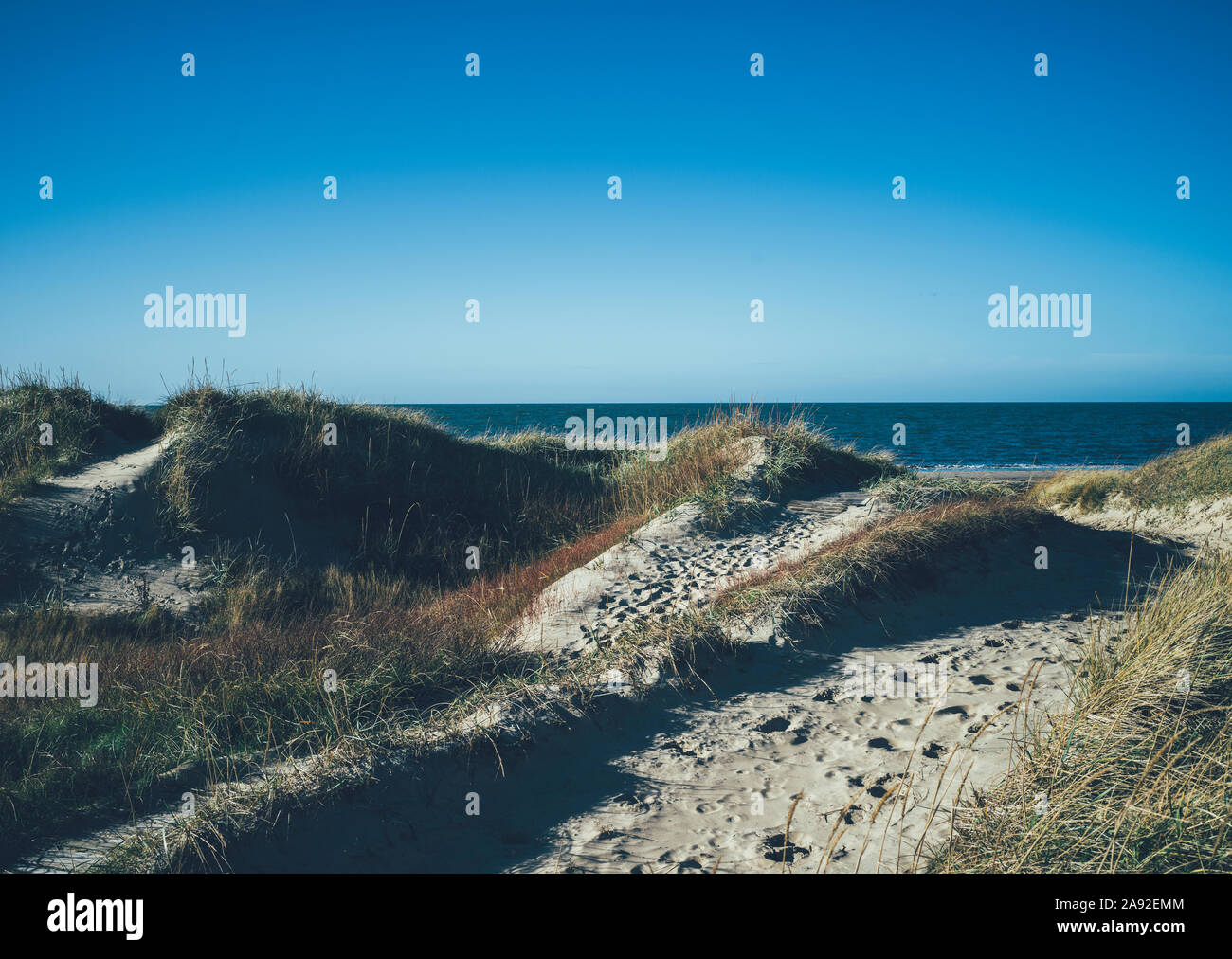 Sand dunes at sea Stock Photo - Alamy