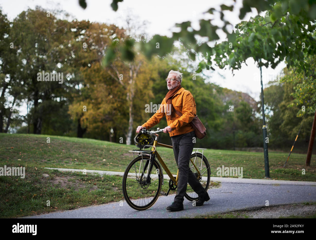 Man pushing bicycle Stock Photo - Alamy