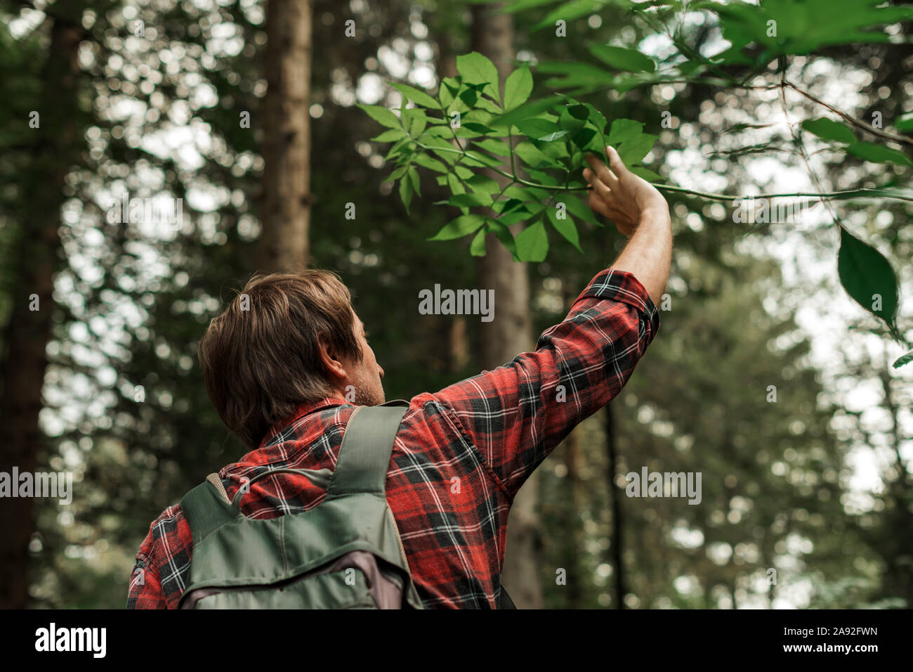 Male hiker hi-res stock photography and images - Alamy