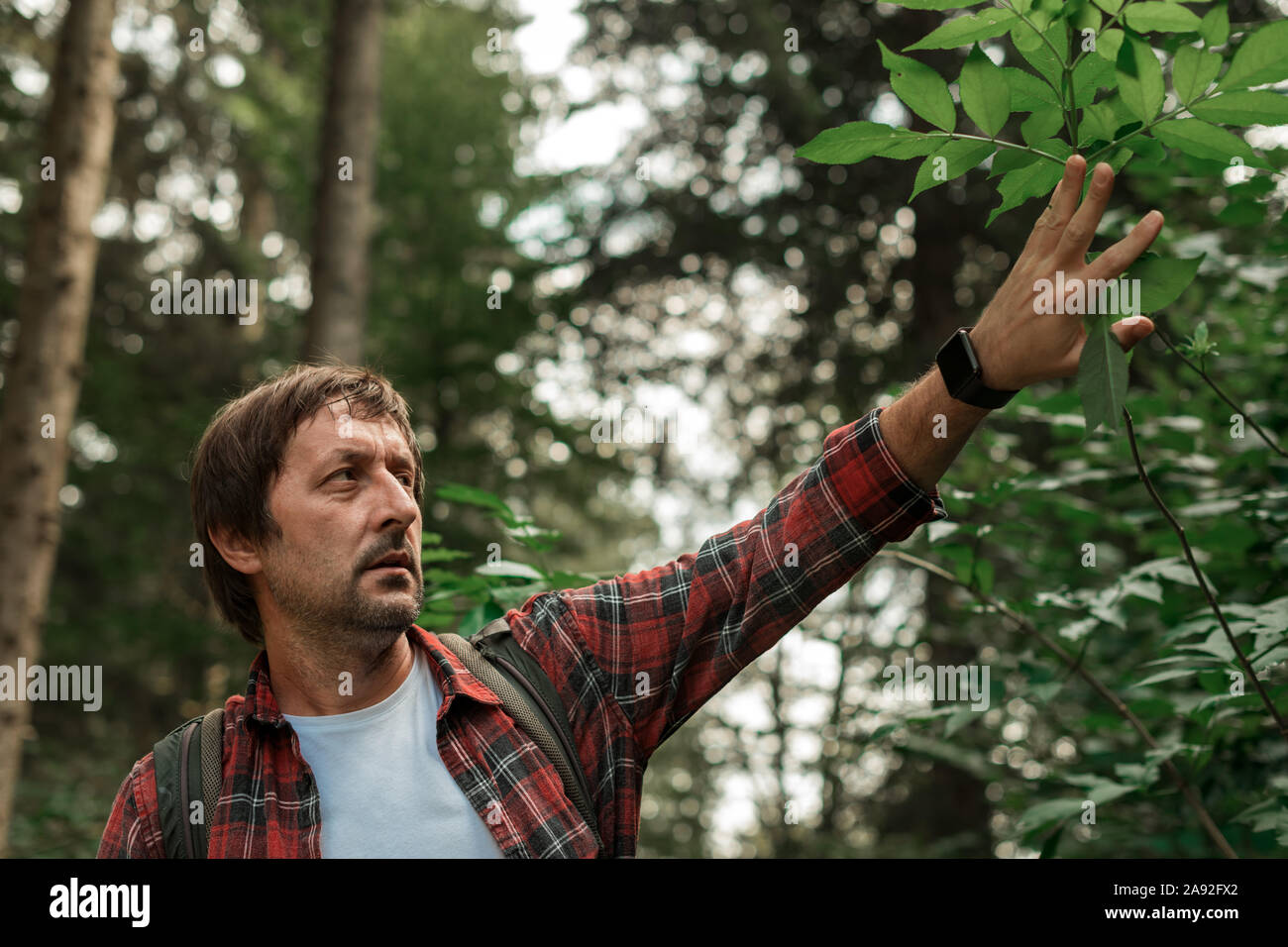 Man hiking in forest alone on active summer vacation, selective focus ...