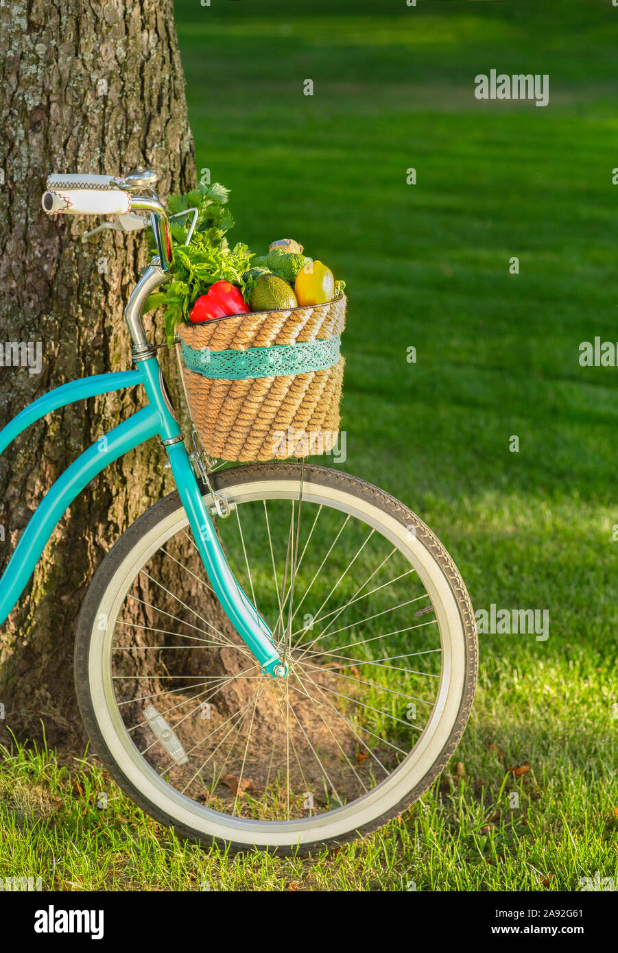 Organic bicycle with eco friendly products over green grass Stock Photo ...