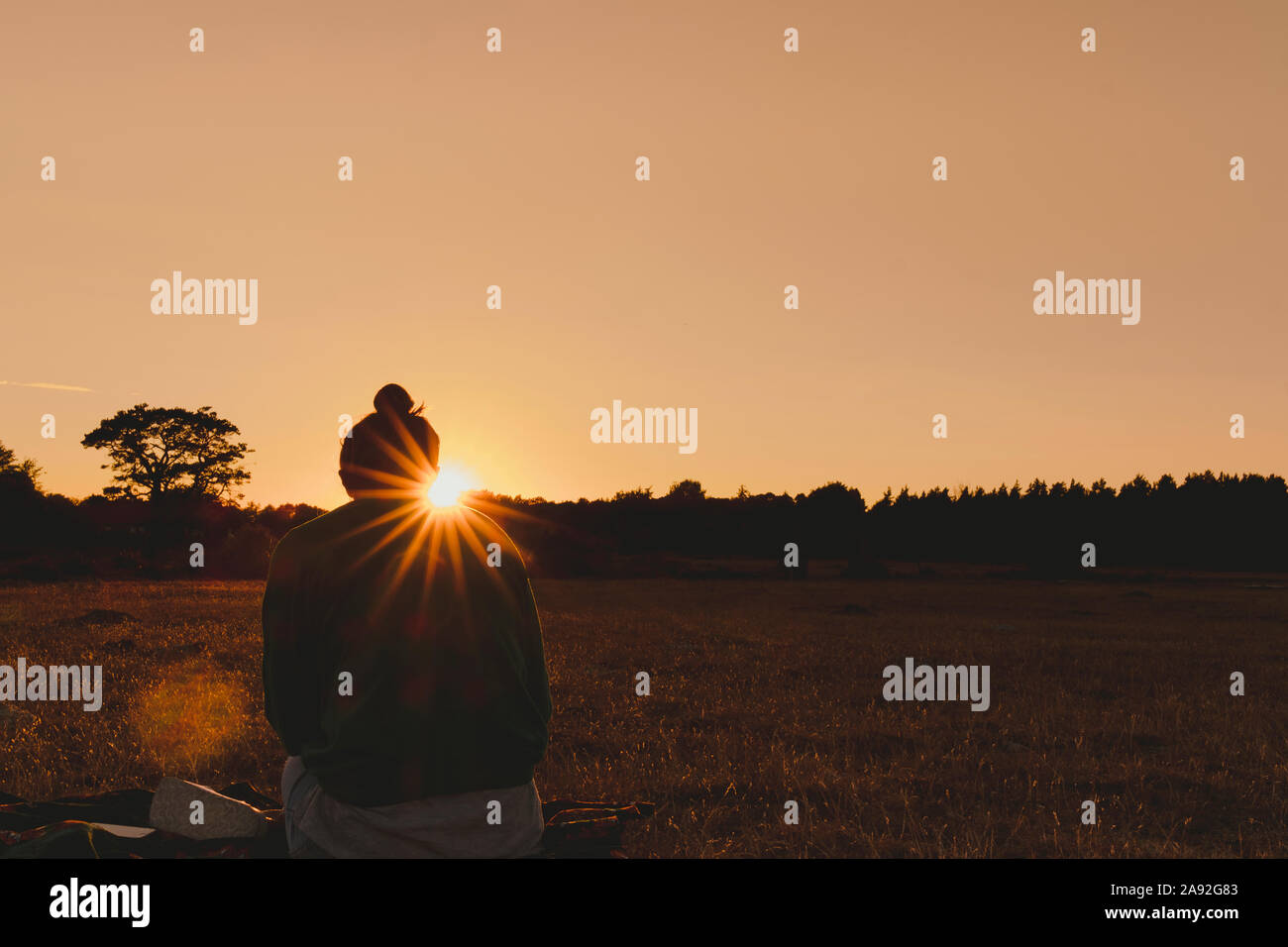 Back view woman silhouette sitting hi-res stock photography and images ...