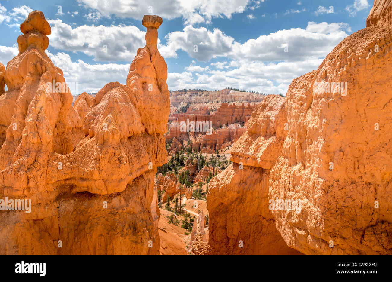 Amphitheater at Bryce Canyon, Utah USA Stock Photo - Alamy