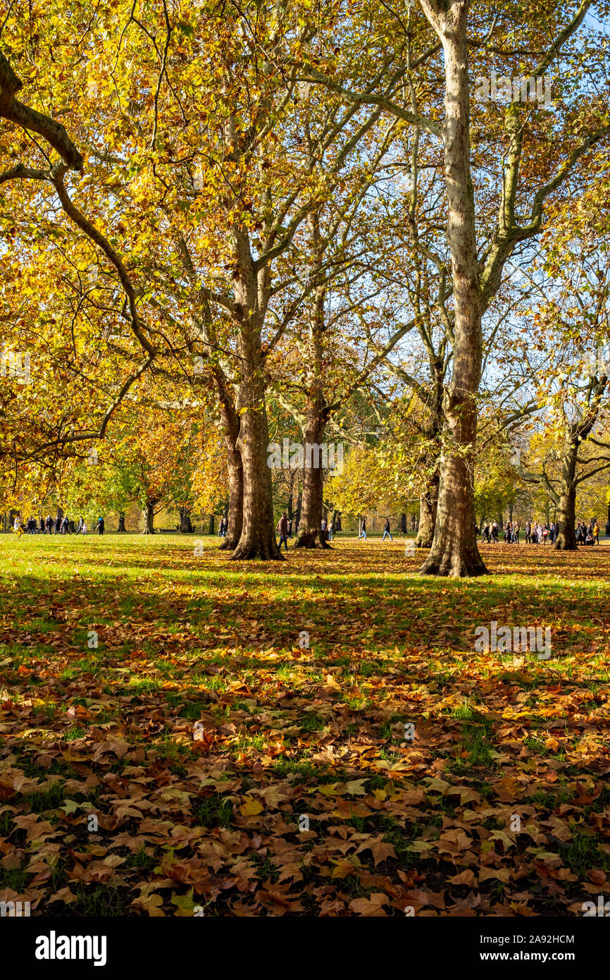 Man made parks in uk hi-res stock photography and images - Alamy
