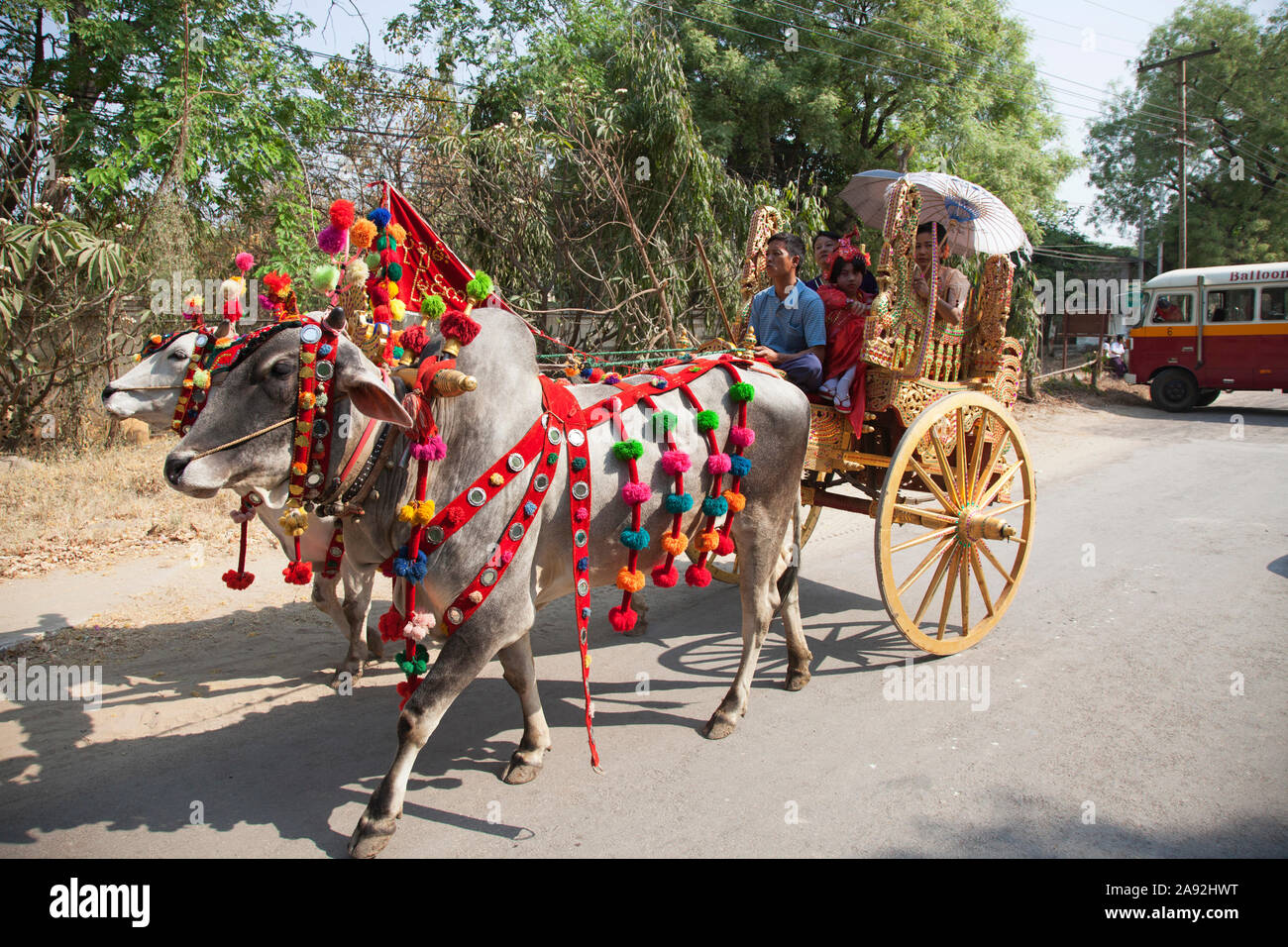 Parade of Initiation of children to Buddhism, cart with oxen festivity ...