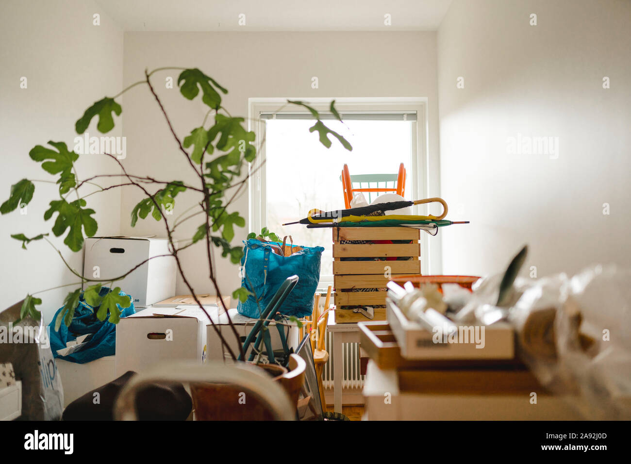 Cardboard boxes in room Stock Photo - Alamy