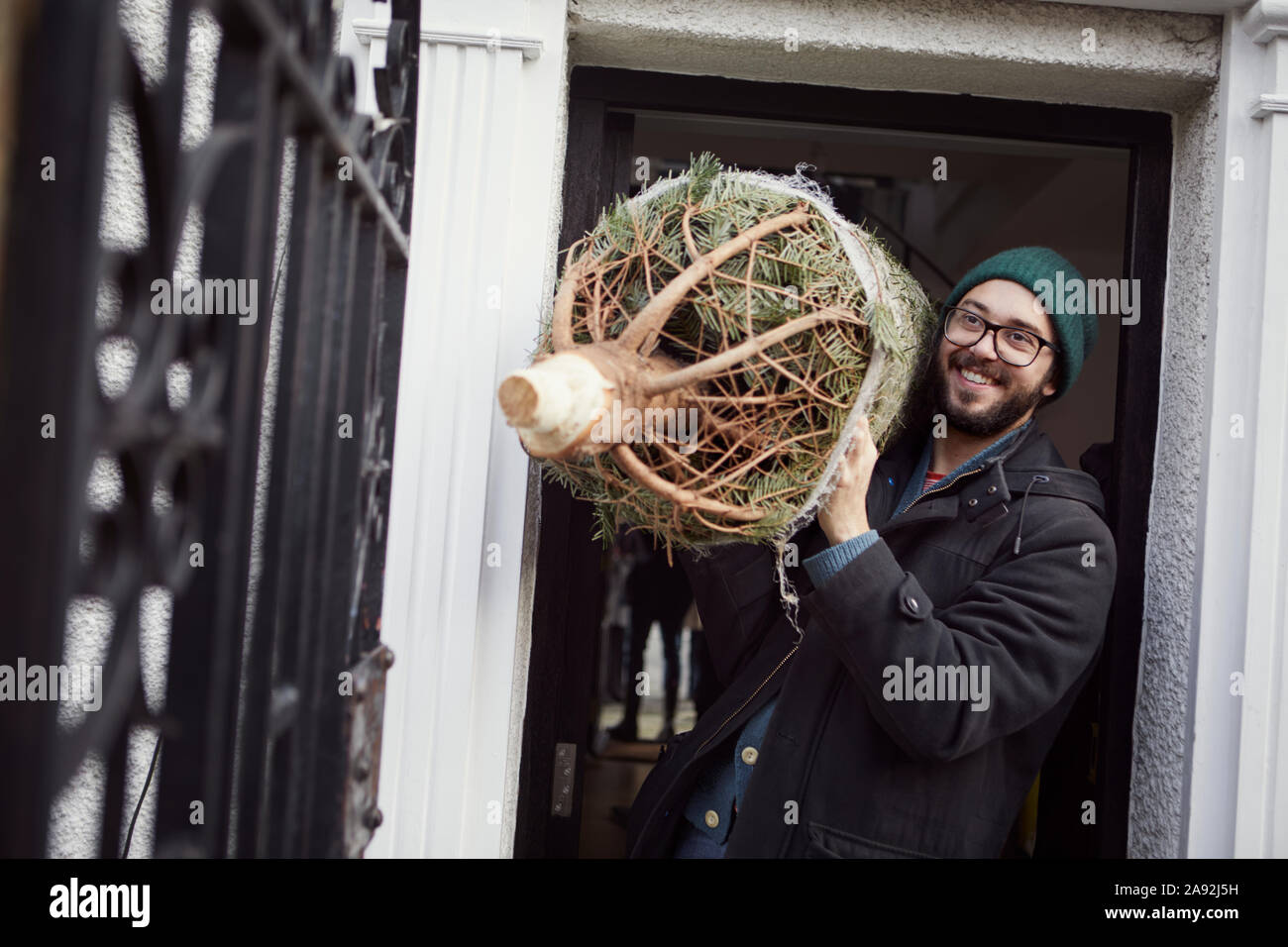 Carry tree hi-res stock photography and images - Alamy