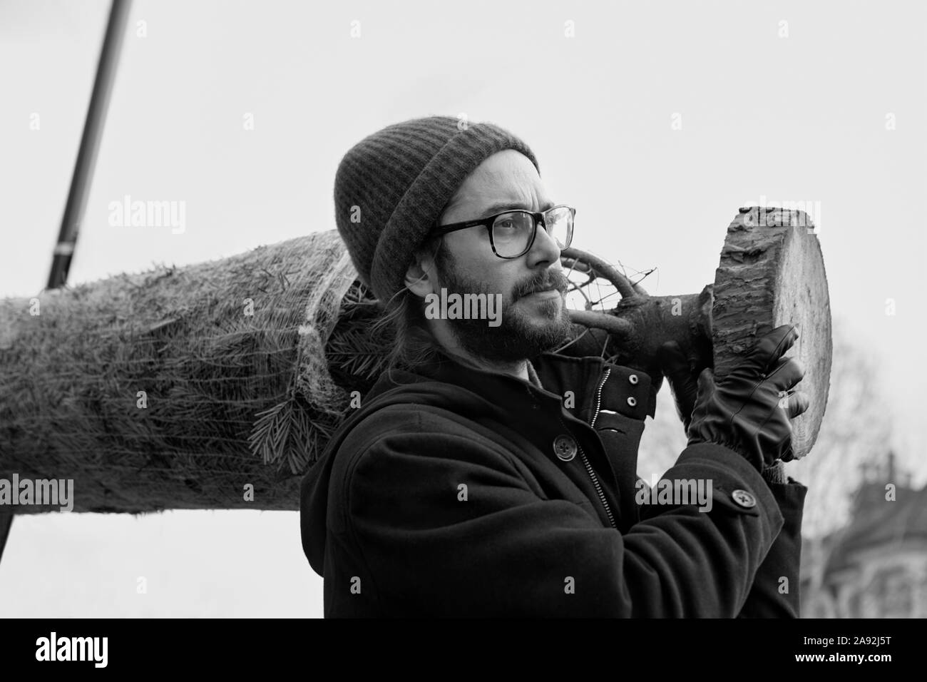 Man carrying Christmas tree Stock Photo - Alamy