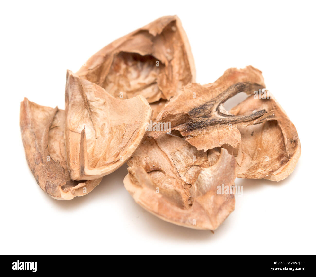 Walnut shells isolated on white background Stock Photo - Alamy