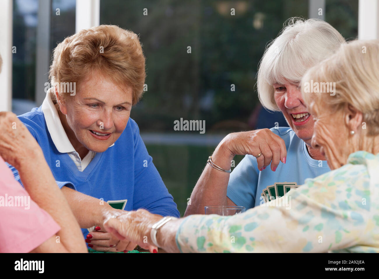 Senior women playing cards Stock Photo - Alamy