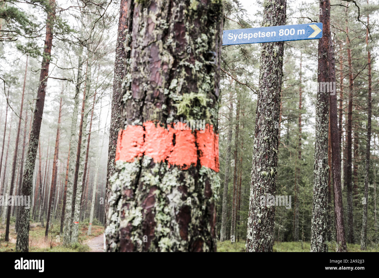 Direction and distance hi-res stock photography and images - Alamy