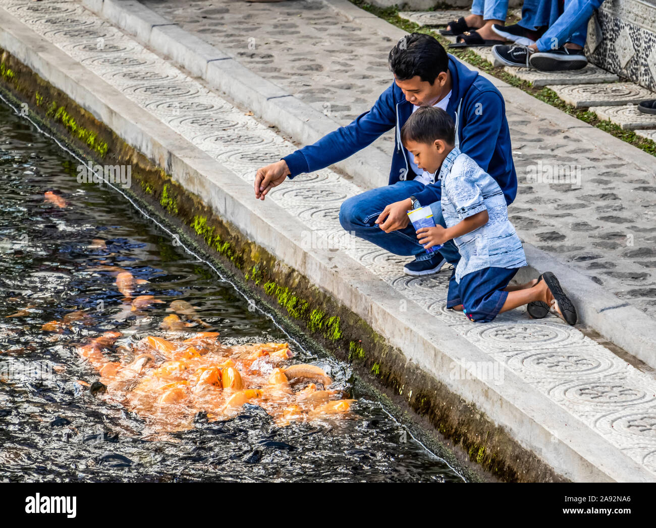 Feeding fish bali hi-res stock photography and images - Alamy