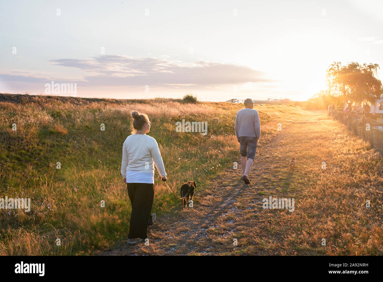 Two people walk animals hi-res stock photography and images - Alamy