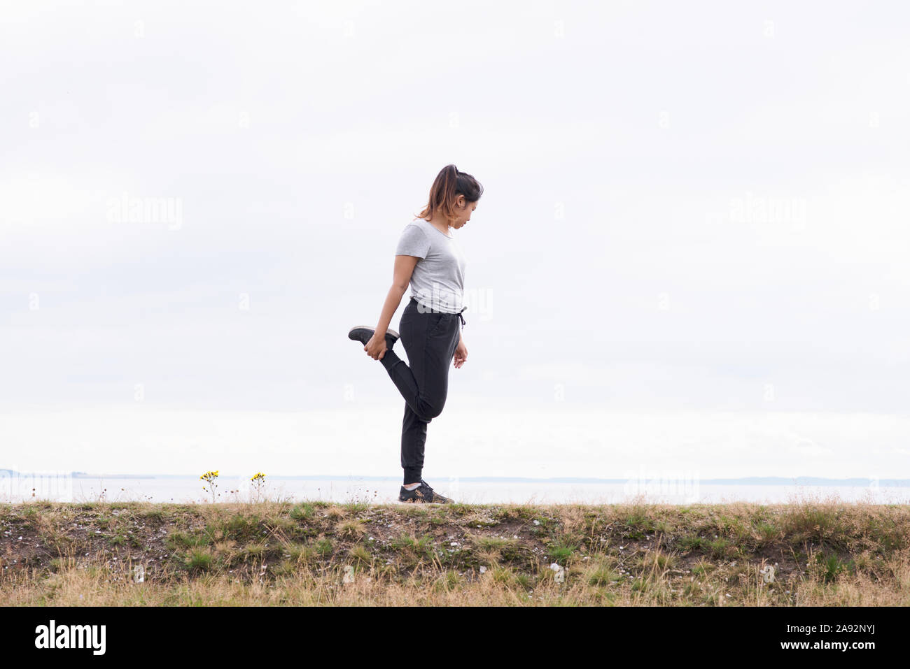 Balance with tails hi-res stock photography and images - Alamy