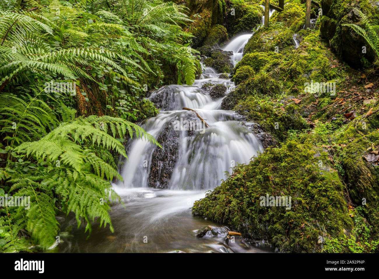 One of the beautiful waterfalls in Canonteign, South Devon, UK Stock ...