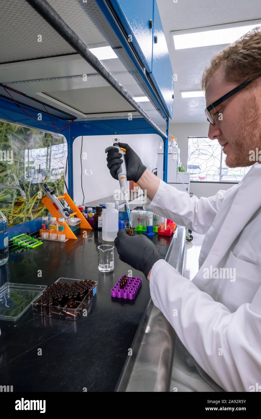 Marijuana drug testing hi-res stock photography and images - Alamy