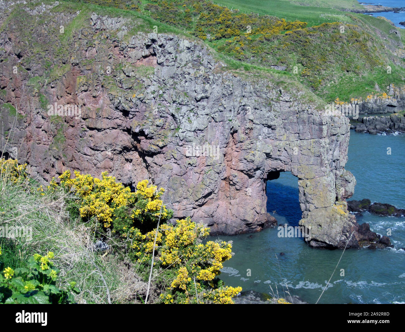 Elephant rock near Usan, Montrose, Angus, Scotland, viewed from ...
