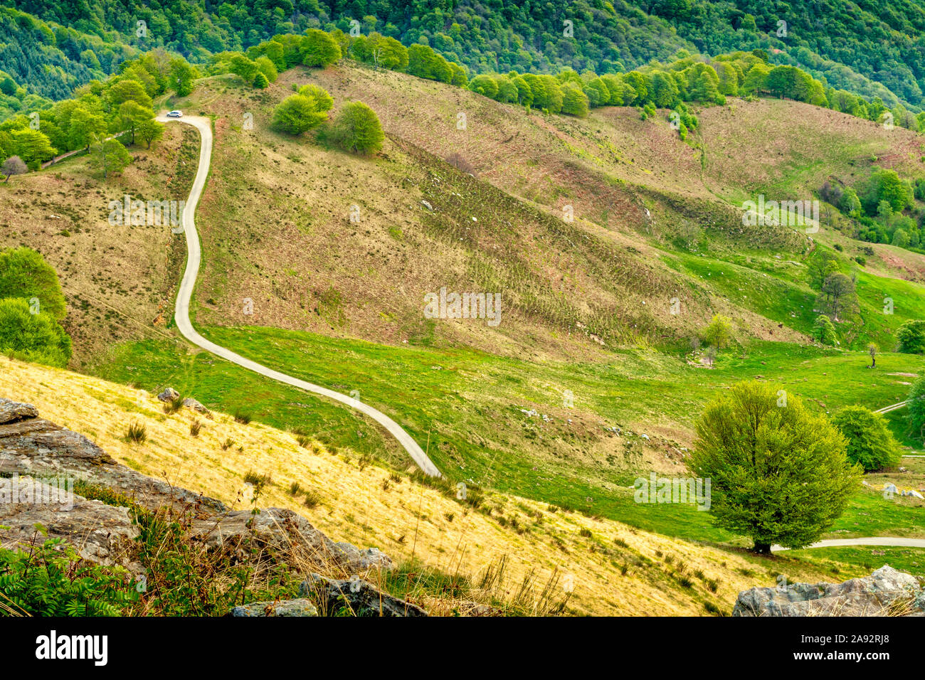 Nature country pathway road spring hi-res stock photography and images ...