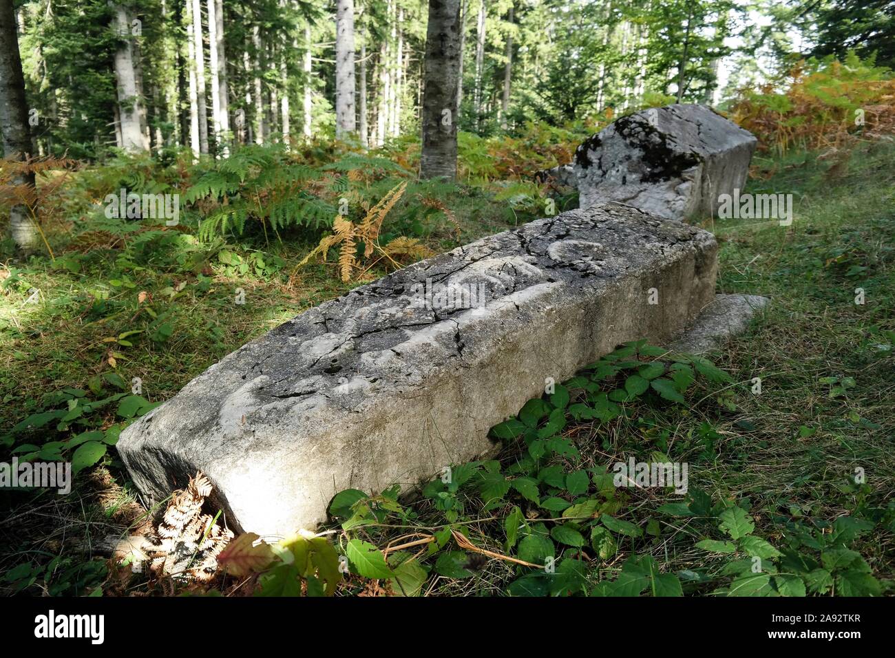 Stecci hi-res stock photography and images - Alamy