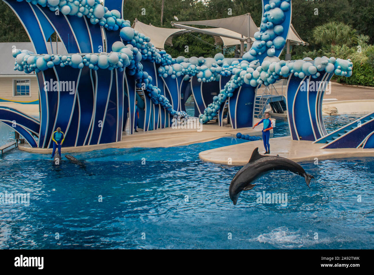 Sea world orlando dolphin hi-res stock photography and images - Alamy